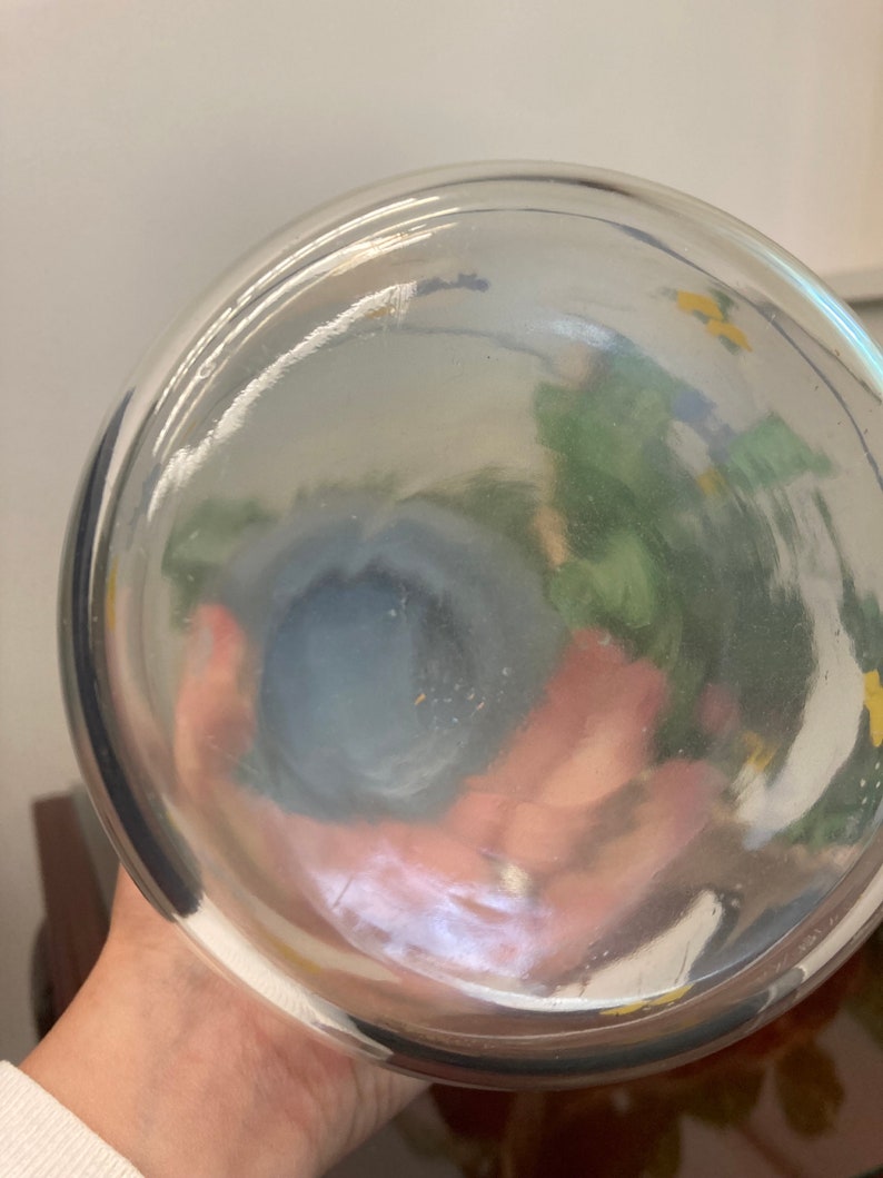 Anchor Hocking Farm Country Blue Ribbon Geese Vintage Juice Carafe - Etsy