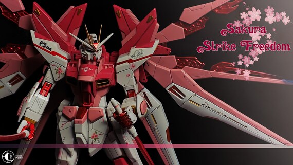 Strike Freedom Wallpaper