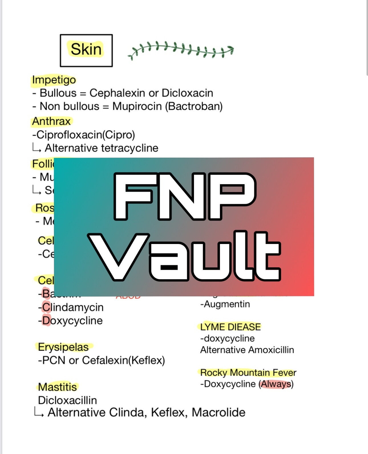 FNP Antibiotics for Diseases With Second Line - Etsy