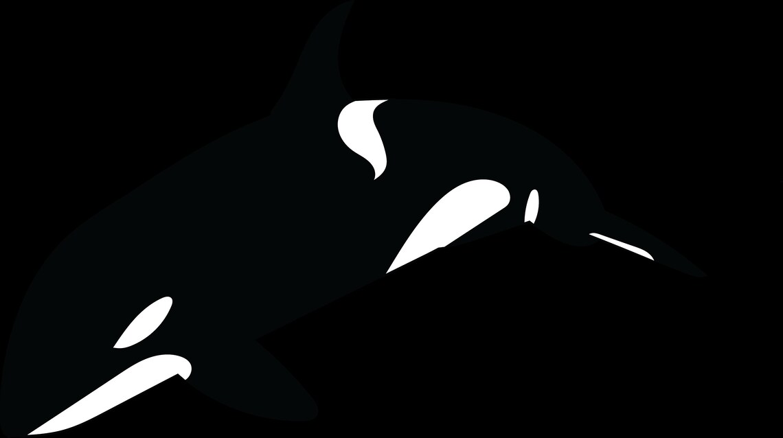 Whale Svg Whale Png Whale Dxf Whale Ai Whale - Etsy