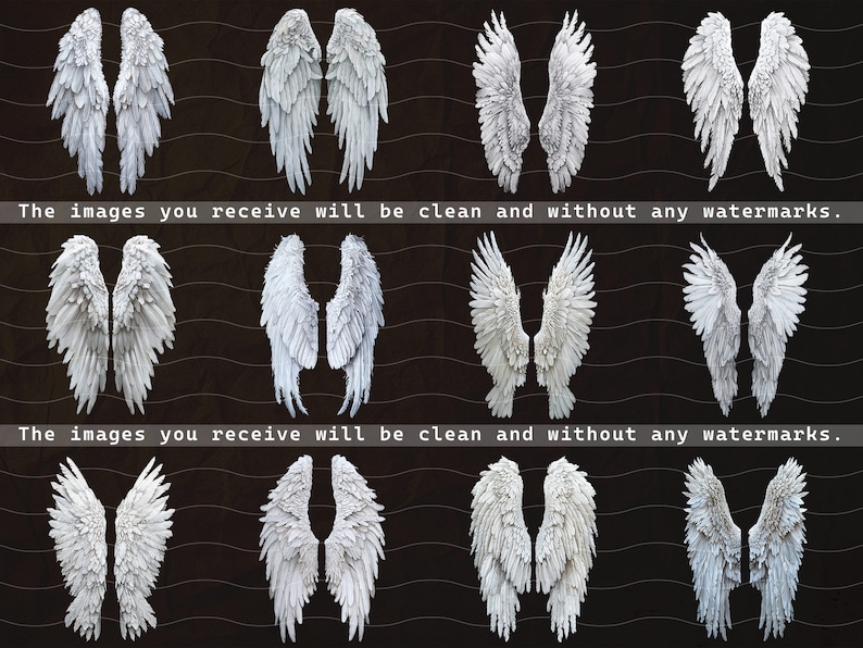 Angel Wings White, Clipart Bundle, White Ink Wings, Transparent PNG ...