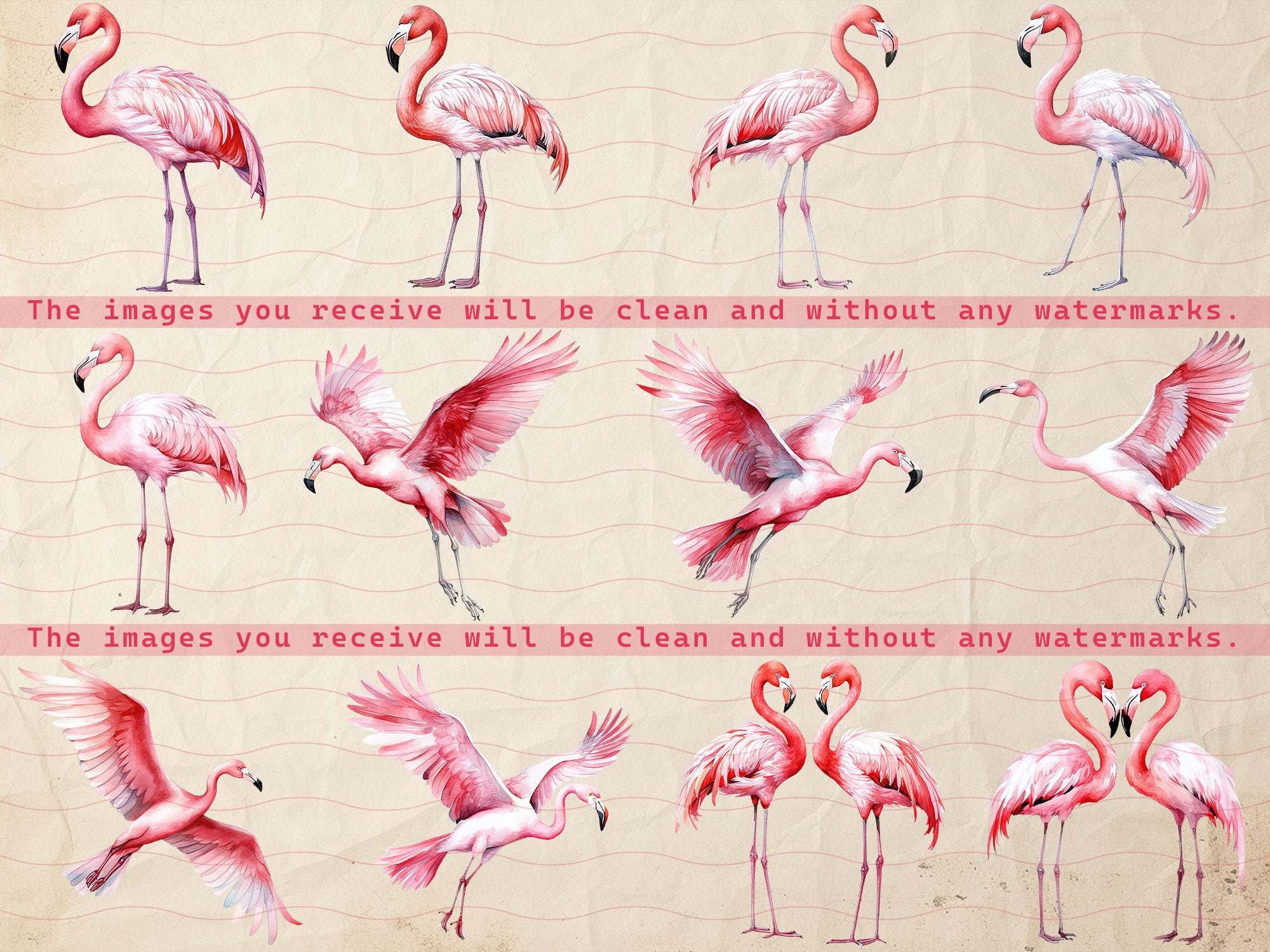 Pink Flamingos, Clipart Collection, Watercolor Flamingo, Transparent ...