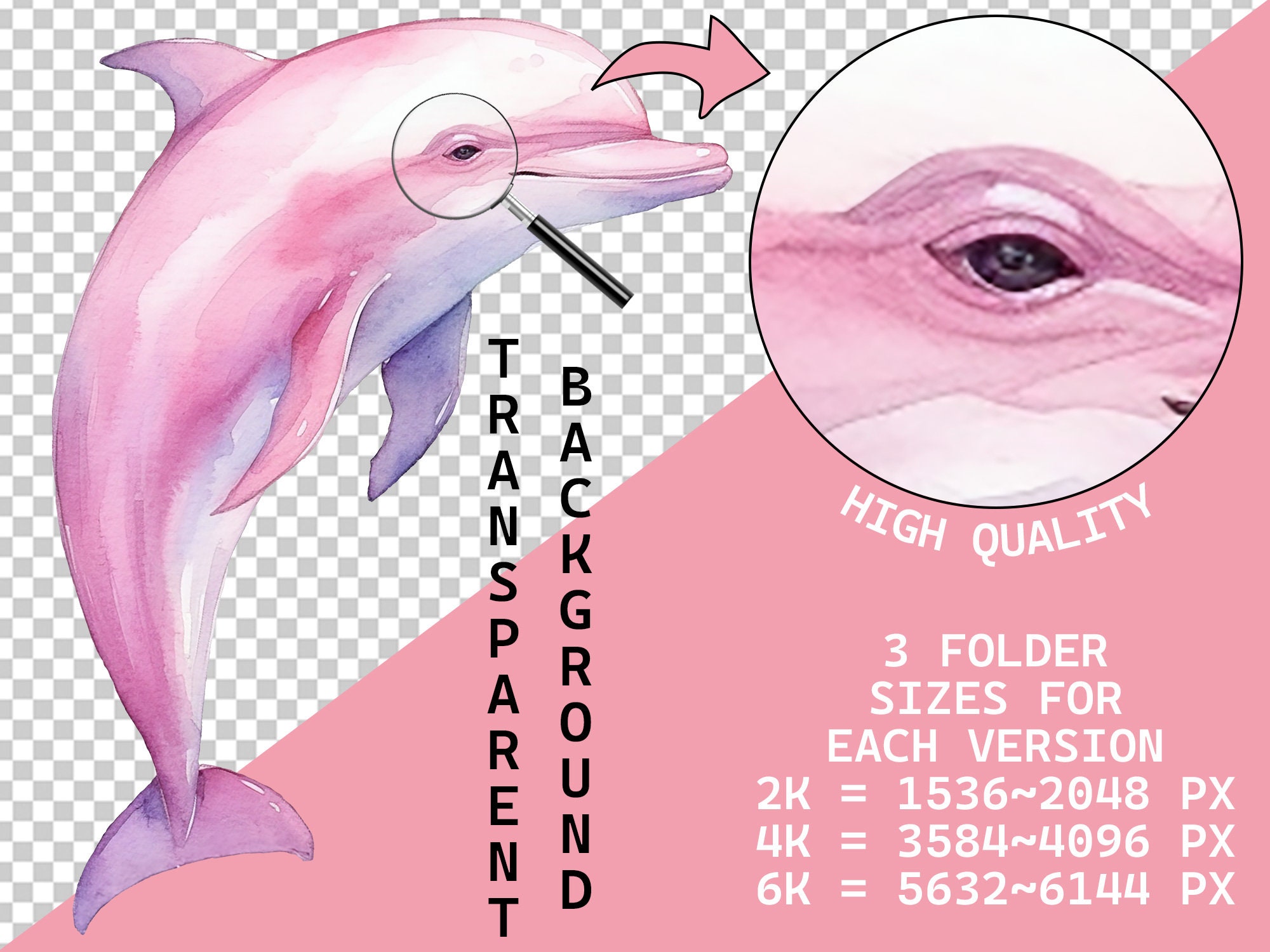 Watercolor Pink Dolphins, Collection Clipart, Commercial Use, Instant ...