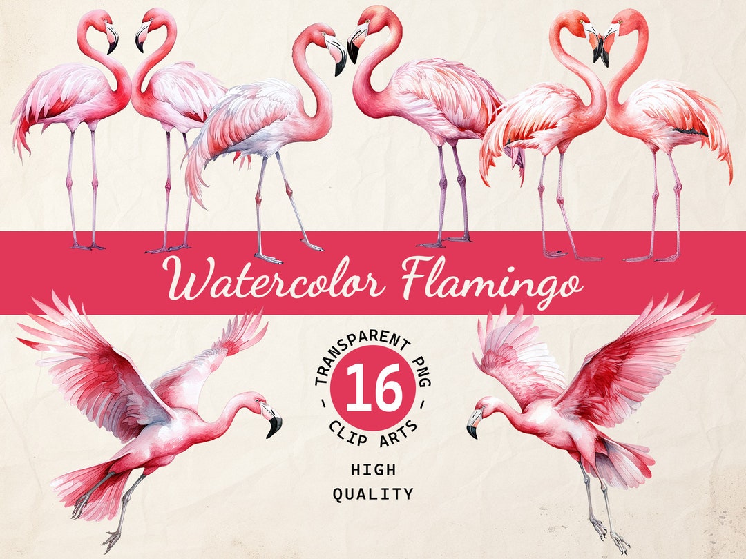 Pink Flamingos, Clipart Collection, Watercolor Flamingo, Transparent ...