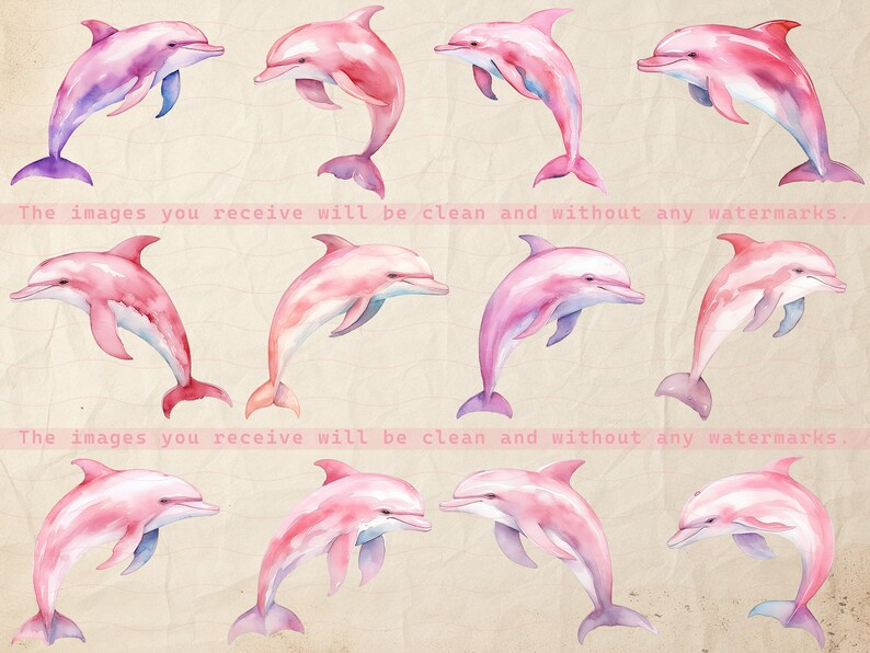 Watercolor Pink Dolphins, Collection Clipart, Commercial Use, Instant ...