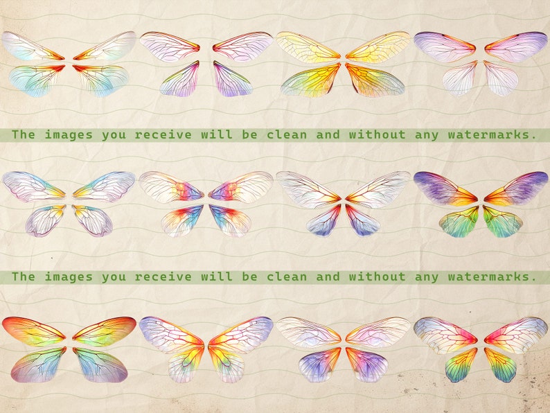 Fairy Wings Watercolor, Clipart Bundle, Vibrant Rainbow Wings ...