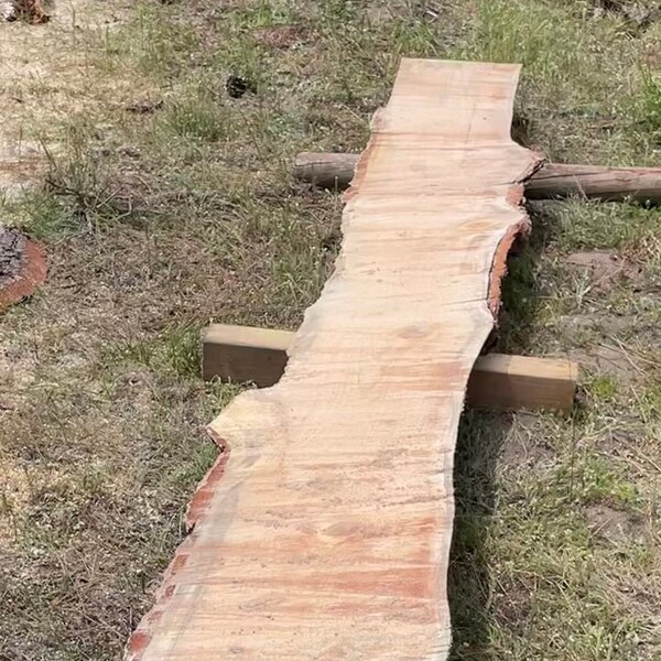 Pine Live Edge Slabs - Etsy