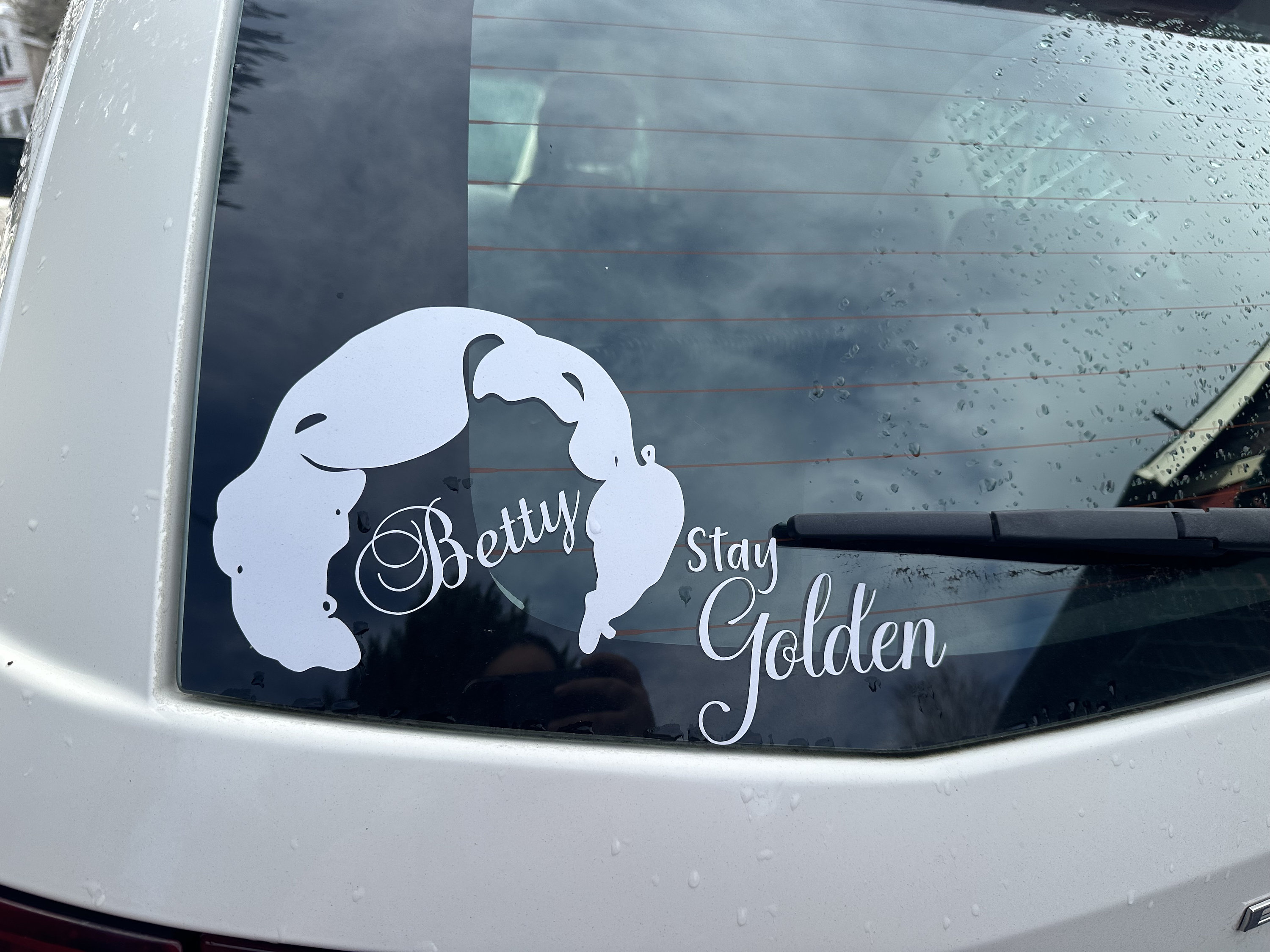 Car Name Vinyl Decals - Etsy