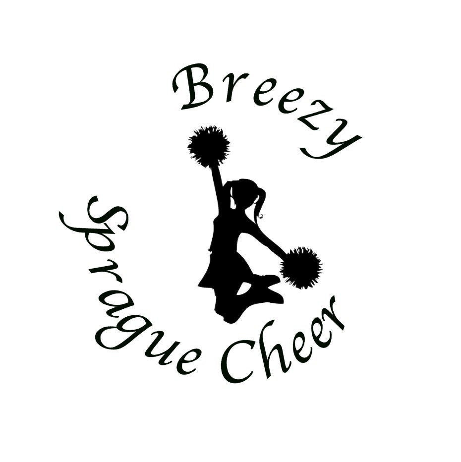 Custom Cheer Decal - Etsy