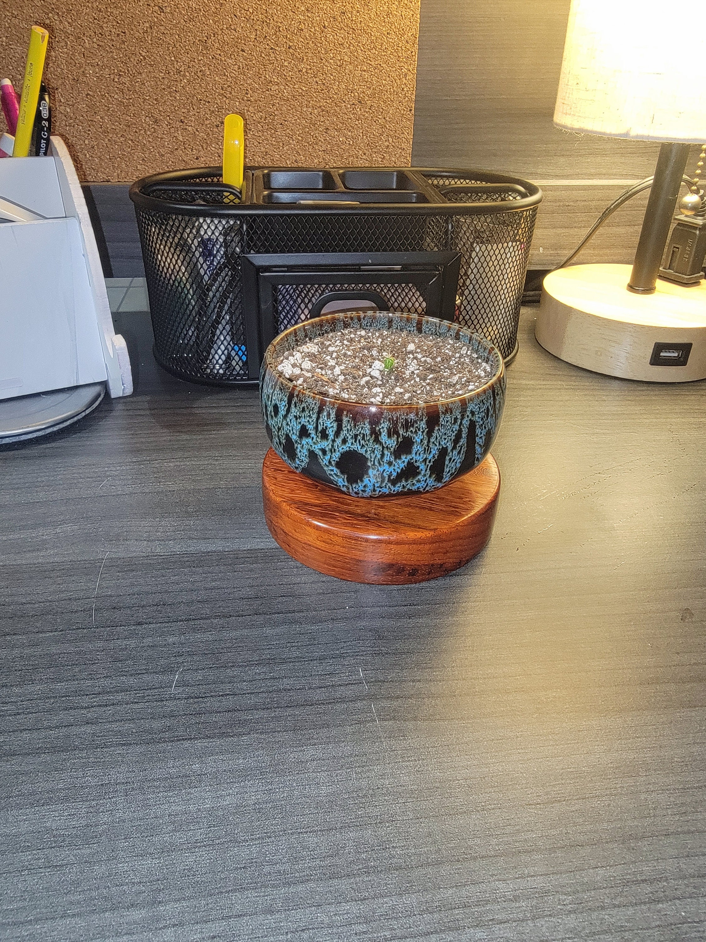 Plant Holder, Padauk Holder, Round Holder, Wood Holder, Flower Holder ...