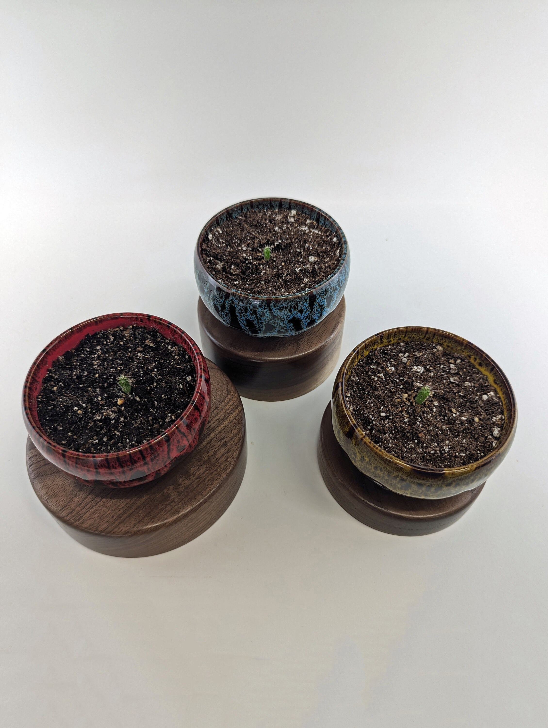Plant Holder, Padauk Holder, Round Holder, Wood Holder, Flower Holder ...