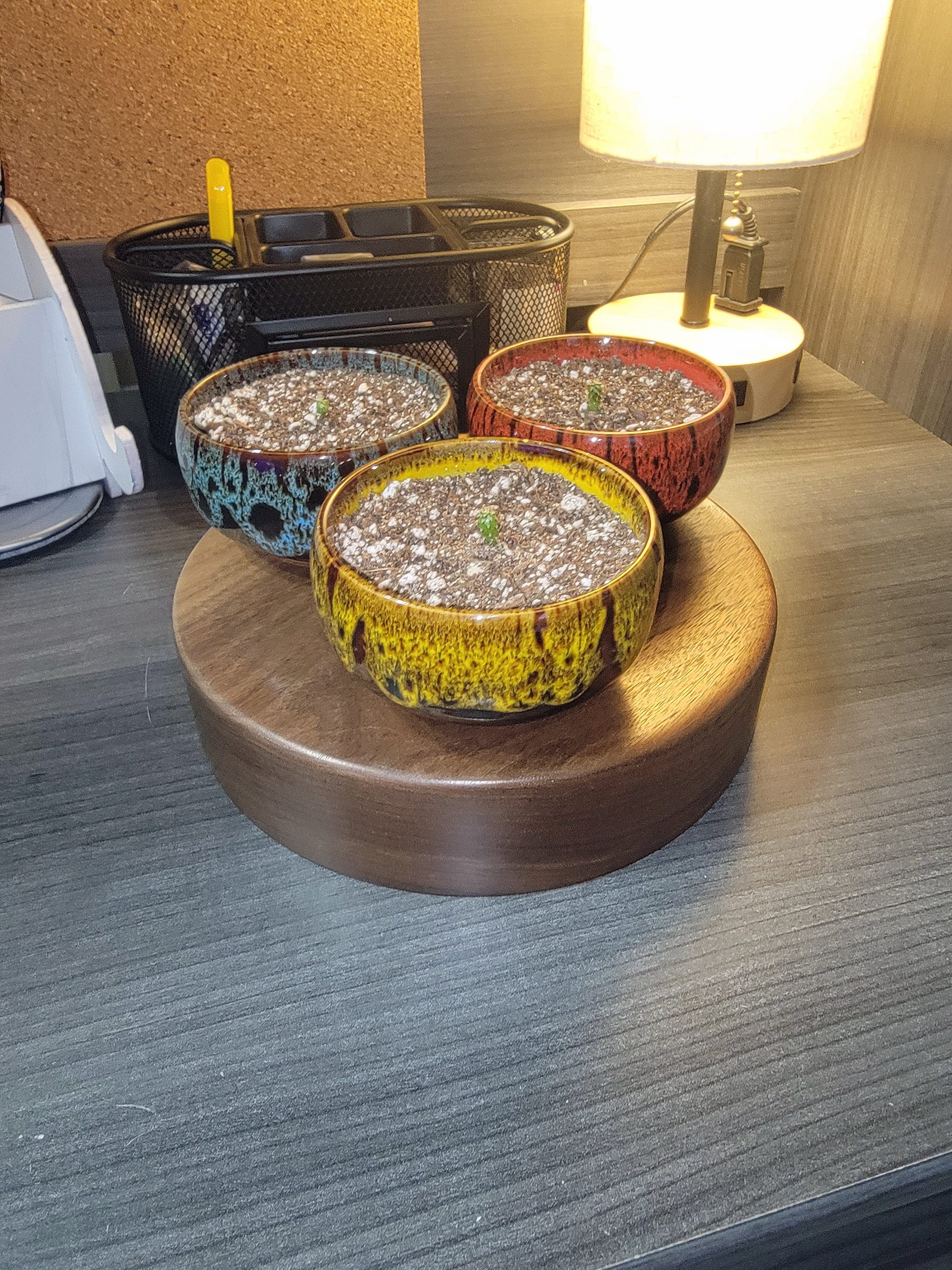 Round Cherry Riser, Product Riser, Miniatures Riser, Antique Riser ...