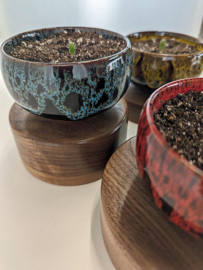 Plant Display, Purple Heart Display, Round Display, Wood Display ...