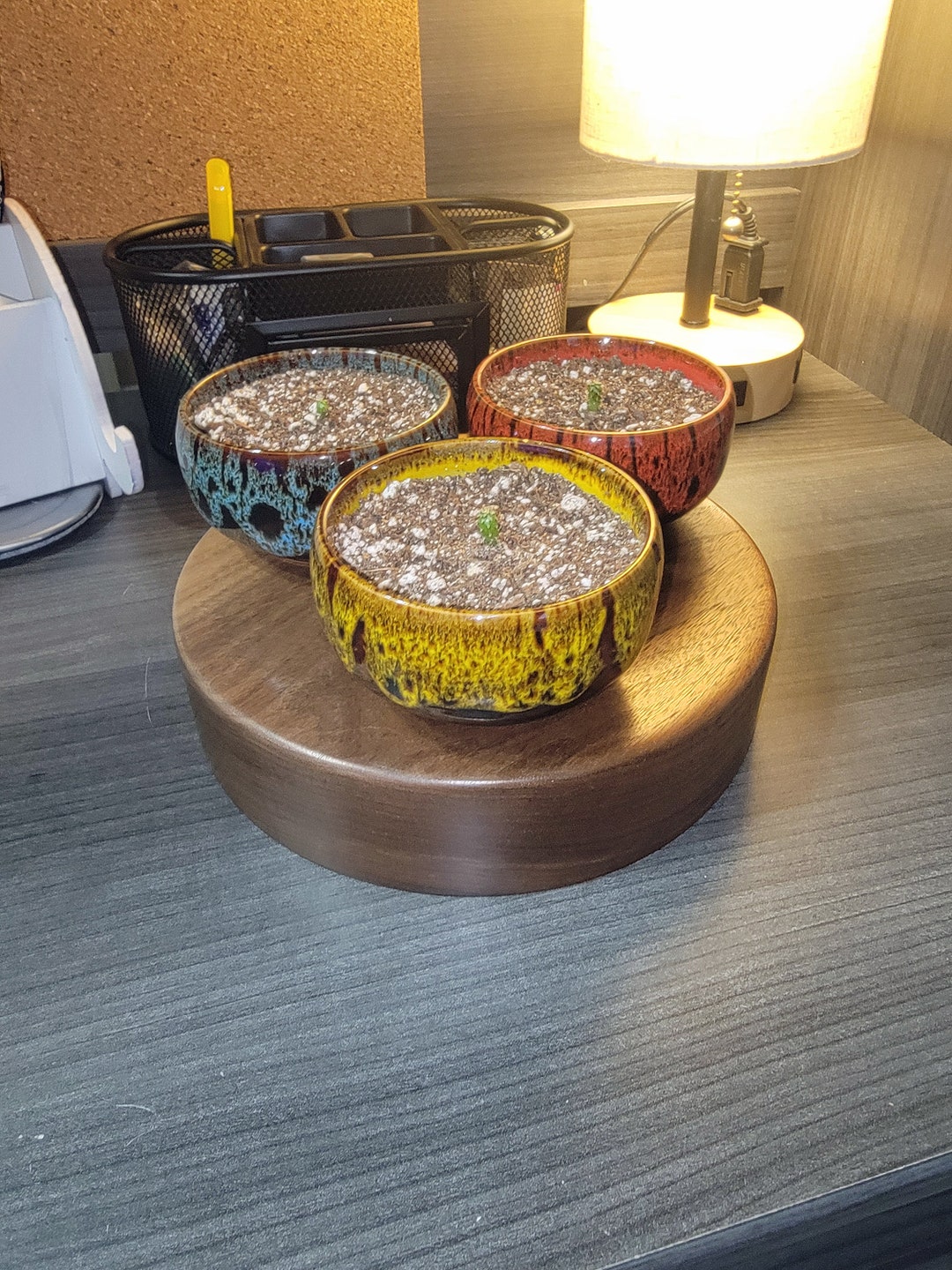 Plant Display, Purple Heart Display, Round Display, Wood Display ...