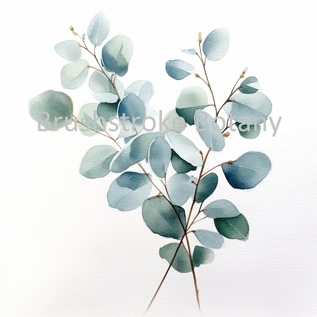 Eucalyptus Watercolor, Simple, Minimalist, Digital Download - Etsy