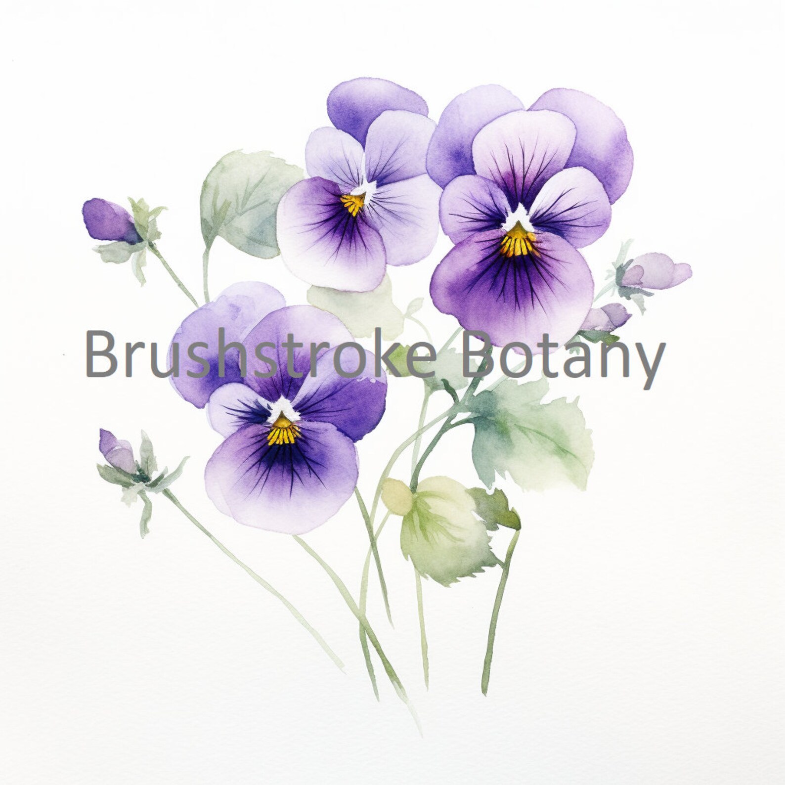 Violets, Watercolor, Minimalist, February Birth Flower, Instant Digital ...