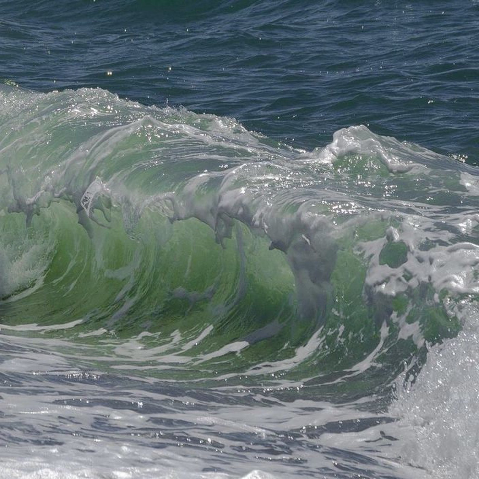 Summer-themed Collage Kit - Etsy