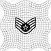 U.S. Air Force Enlisted Rank - Amn - A1C - Sra - Ssgt - Msgt - Smsgt ...