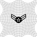 U.S. Air Force Enlisted Rank - Amn - A1C - Sra - Ssgt - Msgt - Smsgt ...