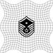 U.S. Air Force Enlisted Rank - Amn - A1C - Sra - Ssgt - Msgt - Smsgt ...