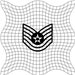 U.S. Air Force Enlisted Rank - Amn - A1C - Sra - Ssgt - Msgt - Smsgt ...
