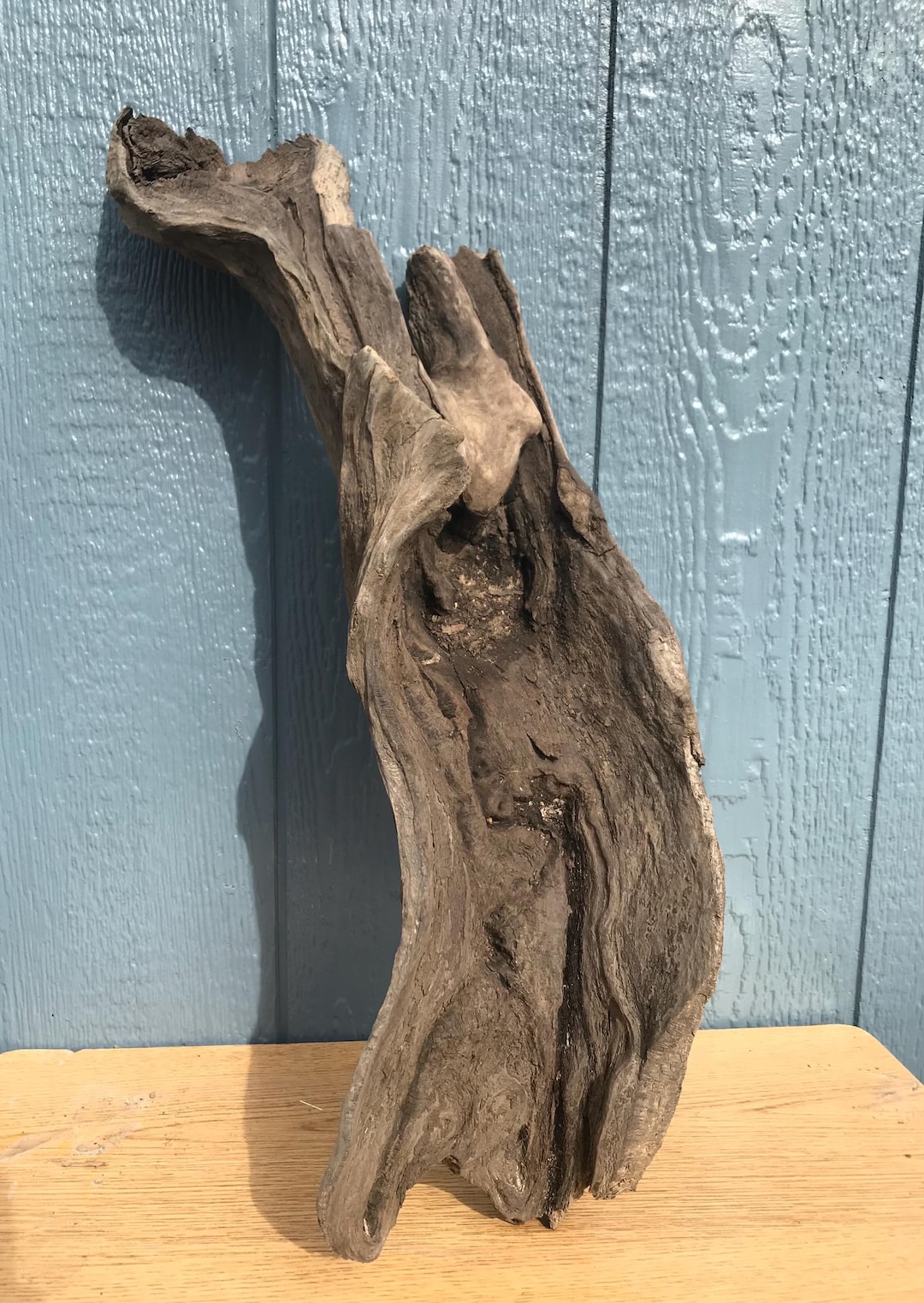 Large Piece of Driftwood Natural Driftwood Sculpture Natural Wood Decor ...