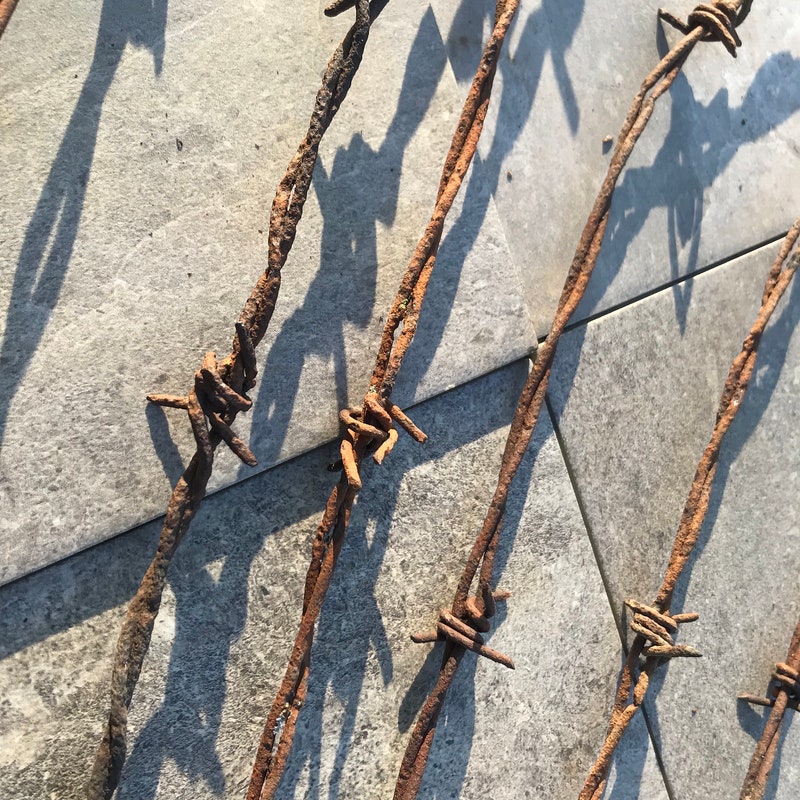 Rusty Barbed Wire - Etsy