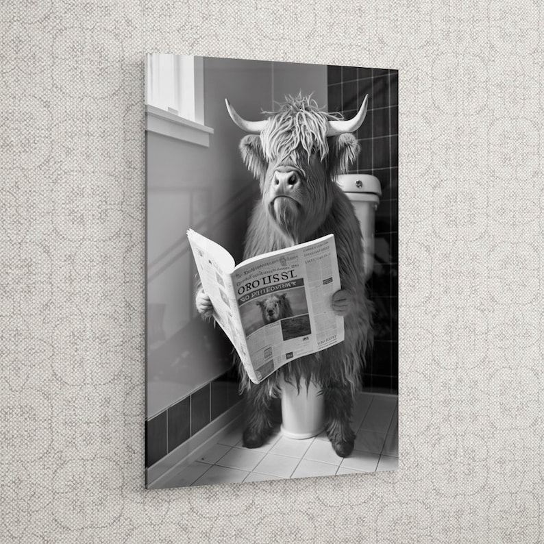 Highland Cow on Toilet, Bull Reading Newspaper on Toilet, Funny Animal ...
