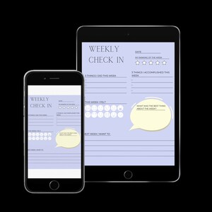 Weekly Check In, Weekly Reflection, Weekly Accomplishments, Self ...