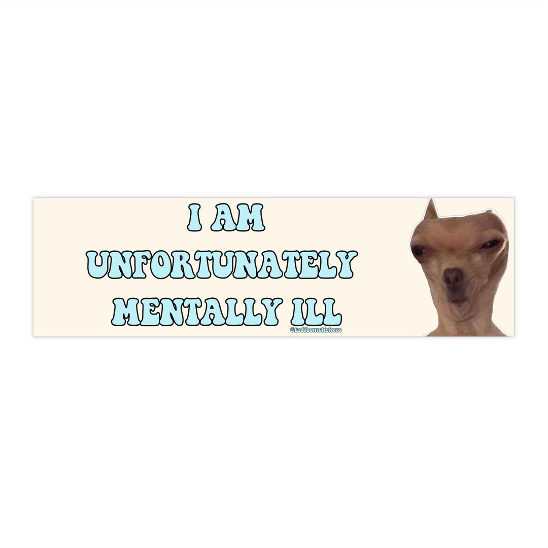 I Am Unfortunately Mentally Ill | Bumper Sticker AND Magnet | Funny ...