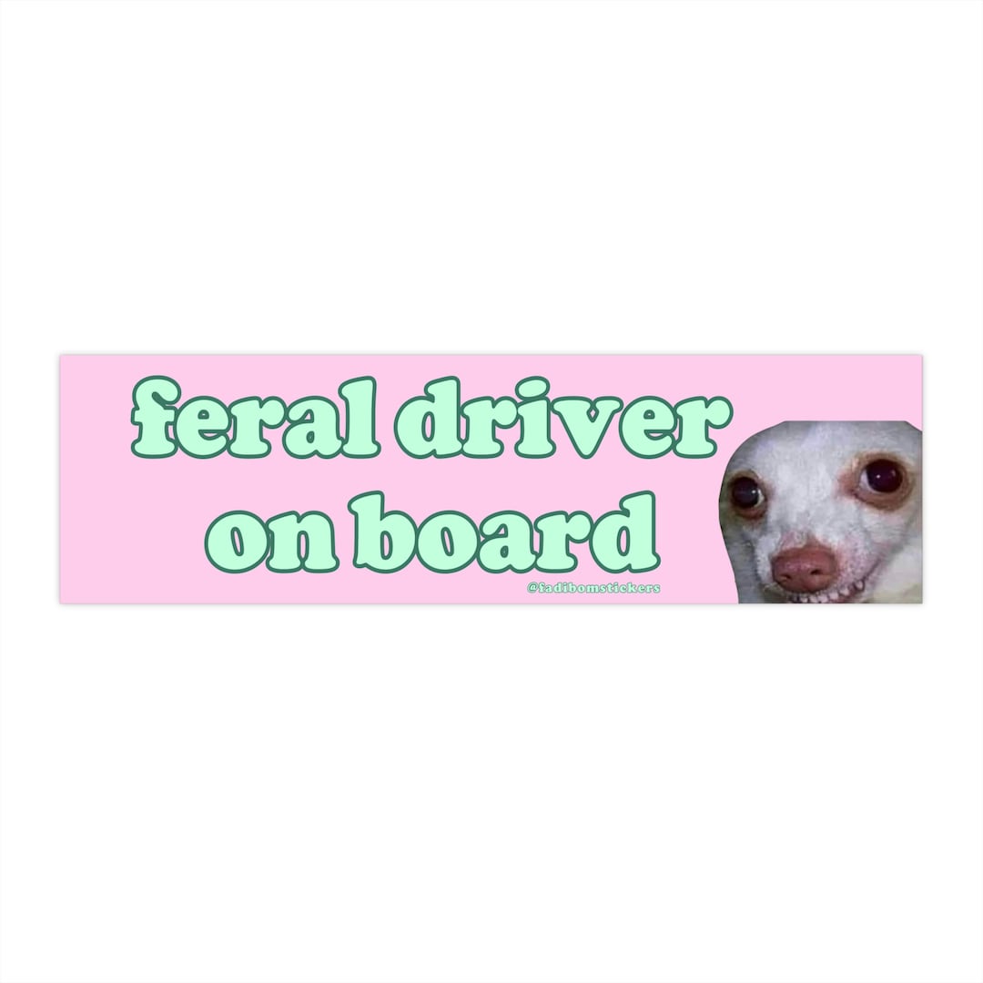 Feral Driver on Board | Bumper Sticker AND Magnet | Funny Meme Sticker ...