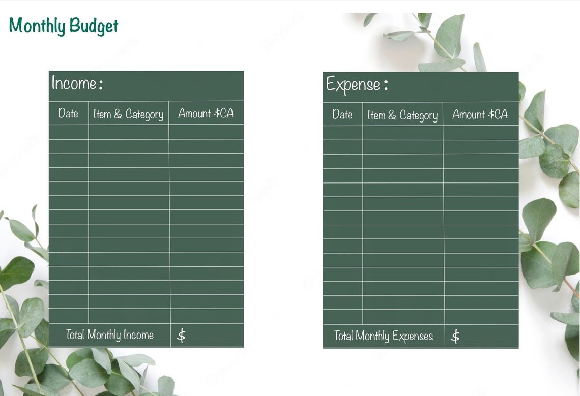 Monthly Budget Planner Simple Aesthetic Income/expenses - Etsy