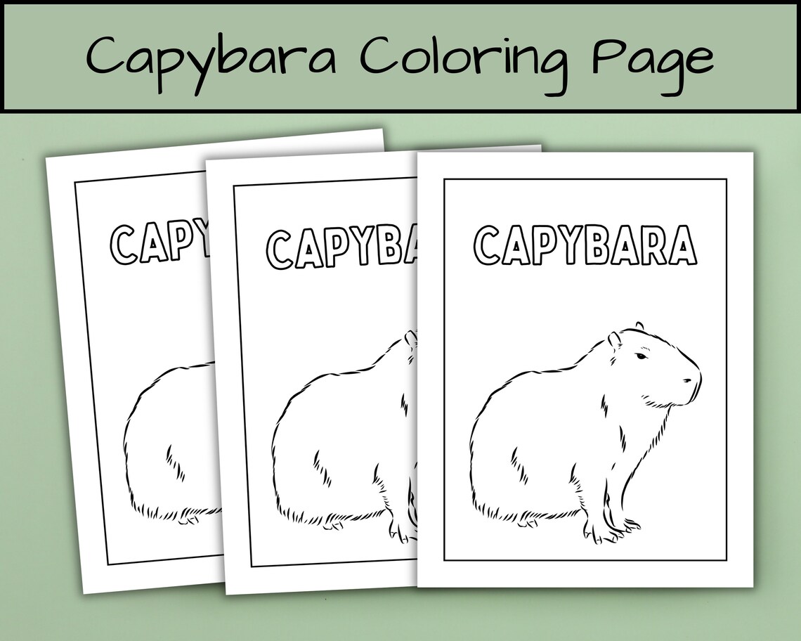 Capybara Coloring Page Capybara Gift Printable Coloring Book for Kids ...