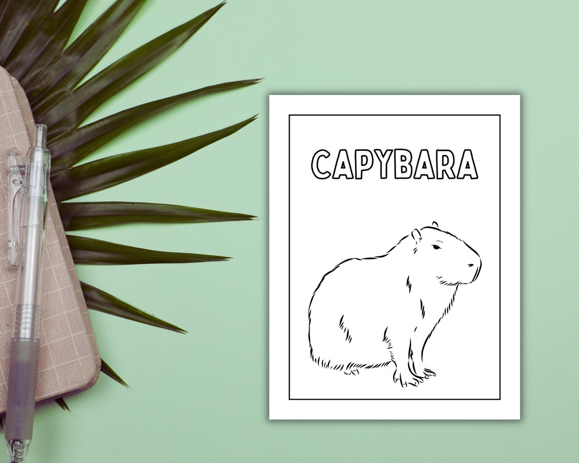 Capybara Coloring Page Capybara Gift Printable Coloring Book for Kids ...