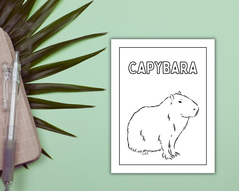 Capybara Coloring Page Capybara Gift Printable Coloring Book for Kids ...