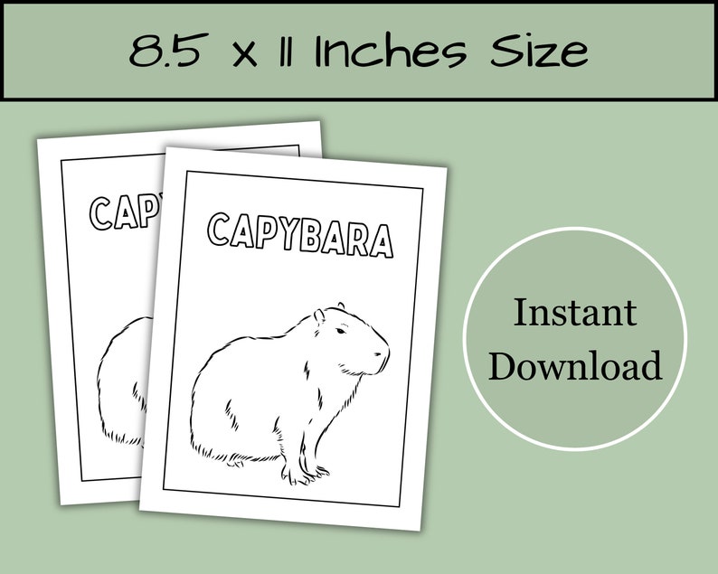 Capybara Coloring Page | Kids and Adults, Animal Doodle (PDF, PNG) - Etsy