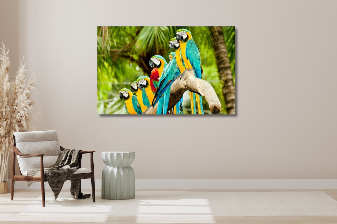 Colorful Parrots Poster, Animal Canvas, Parrots Wall Art, Animal Wall ...