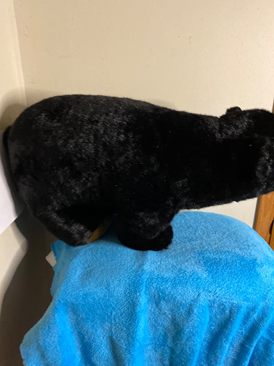 30 Inch Prima Creations Black Bear Teddy Bear - Etsy