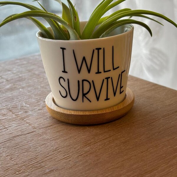 Funny Flower Pots - Etsy