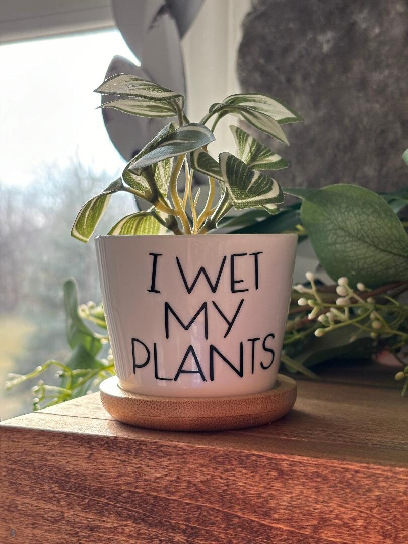 Succulent Pot, Succulent Planter, Indoor Planter, Pot With Drainage, Funny Plant Pot, Mini ...