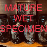 Wet Specimen - Etsy