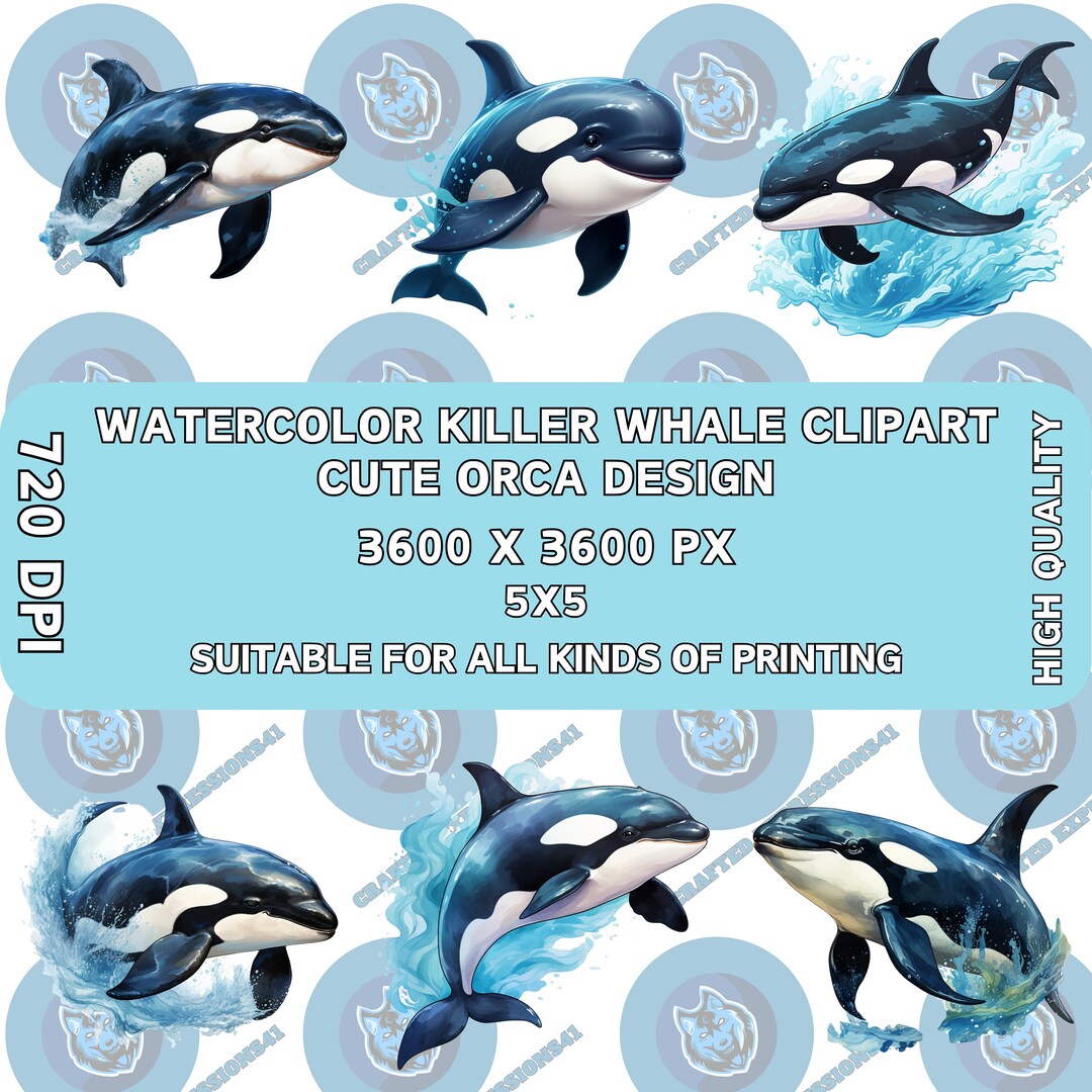 Watercolor Killer Whale Clipart Adorable Orca Design Crafting and ...
