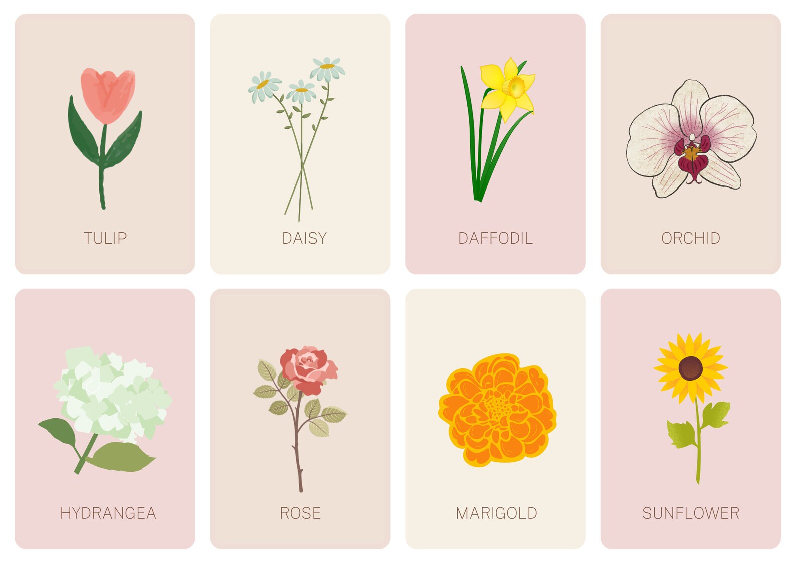 8 Flower Flash Cards, Montessori Material, Educational Printable ...