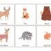 24 Animal Flashcards, Montessori Material, Educational Printable ...