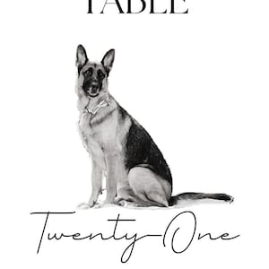 Custom Pet Table Numbers - Etsy