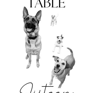 Custom Pet Table Numbers - Etsy