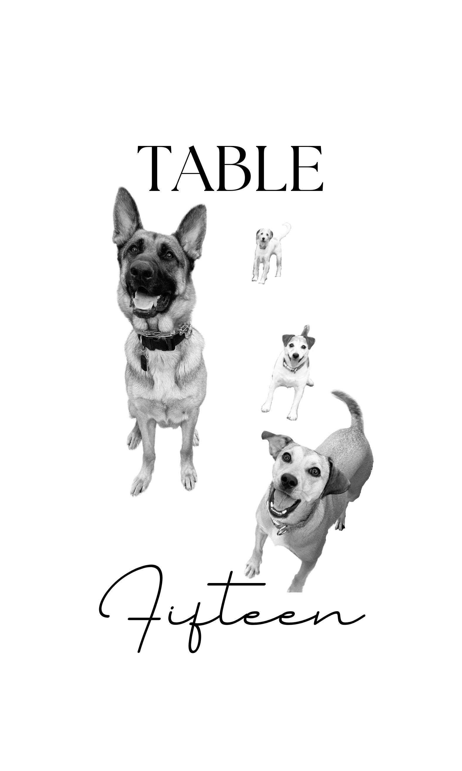 Custom Pet Table Numbers - Etsy