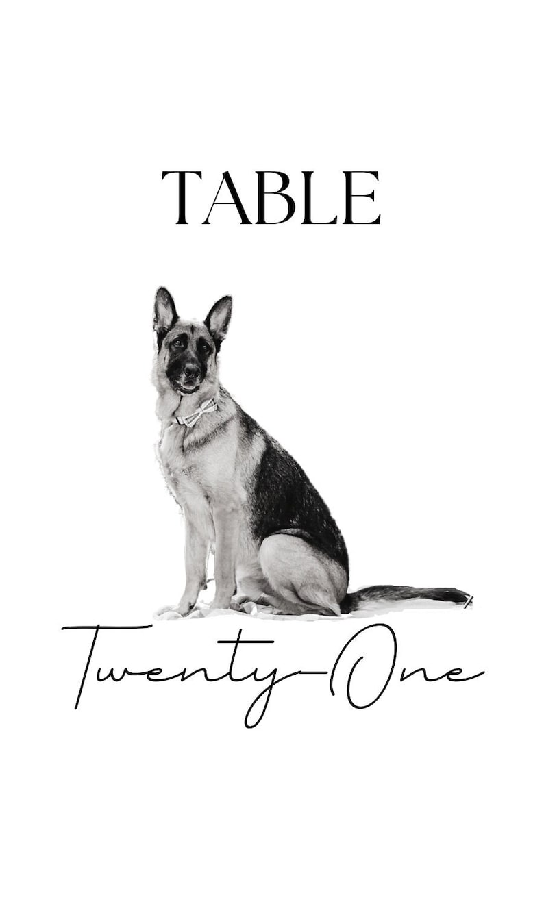 Custom Pet Table Numbers - Etsy