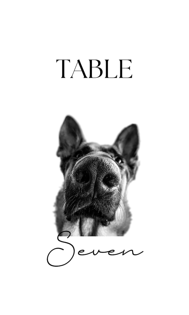 Custom Pet Table Numbers - Etsy