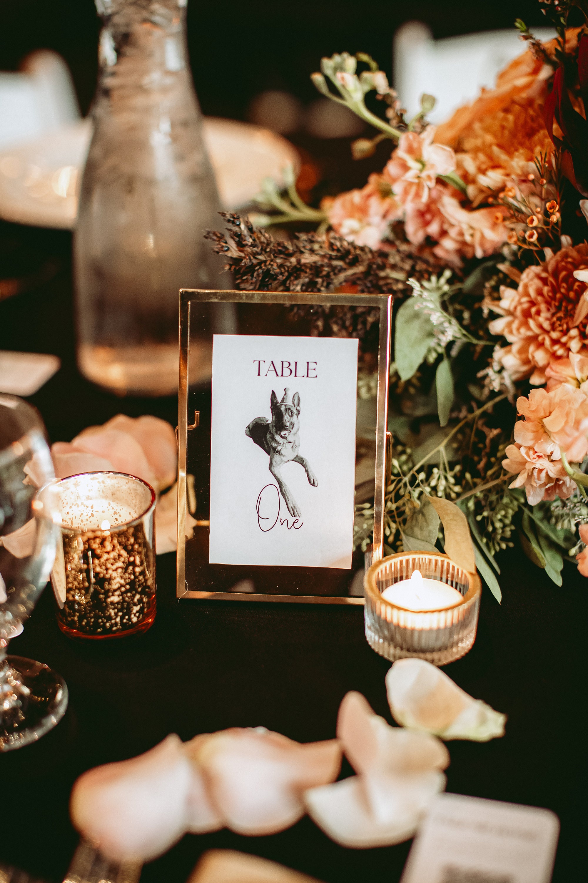 Custom Pet Table Numbers - Etsy